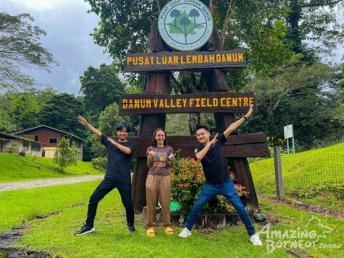 Danum Valley Field Centre: My 4-Day Eco-Adventure in Pristine Primary Rainforest | Travelogue ...